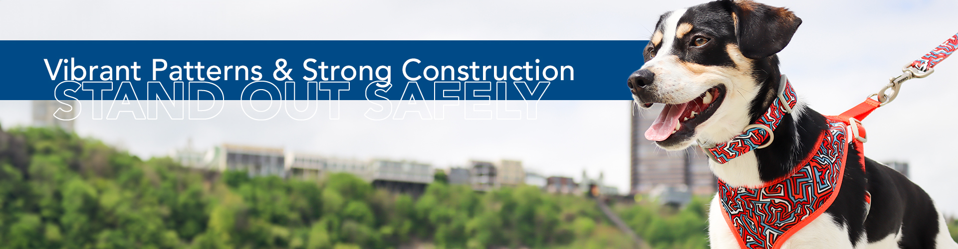 Coastal Pet Products | Coastal Pet Products