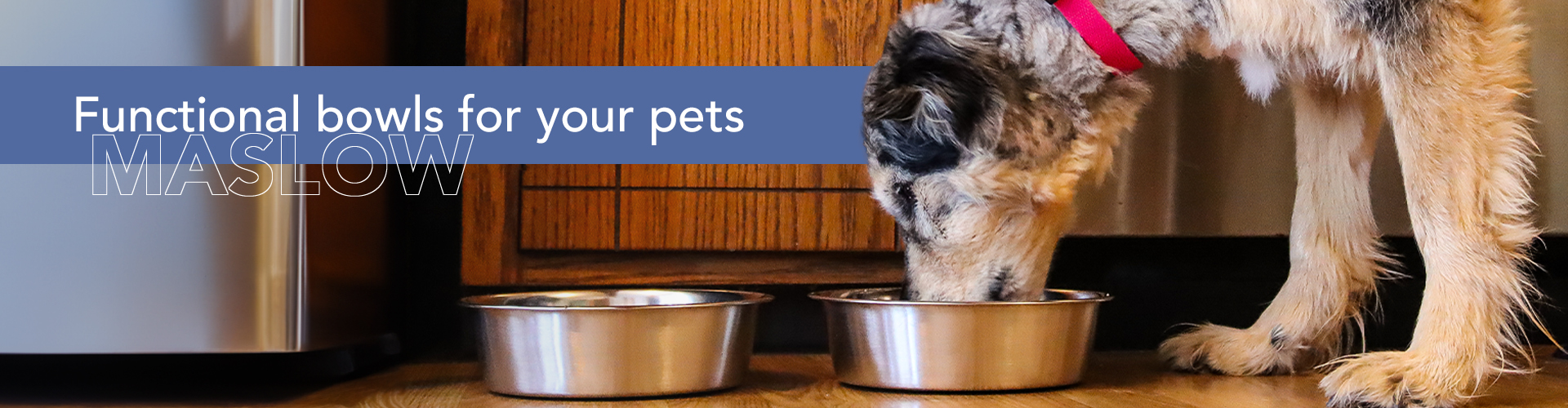 Coastal Pet Products | Coastal Pet Products