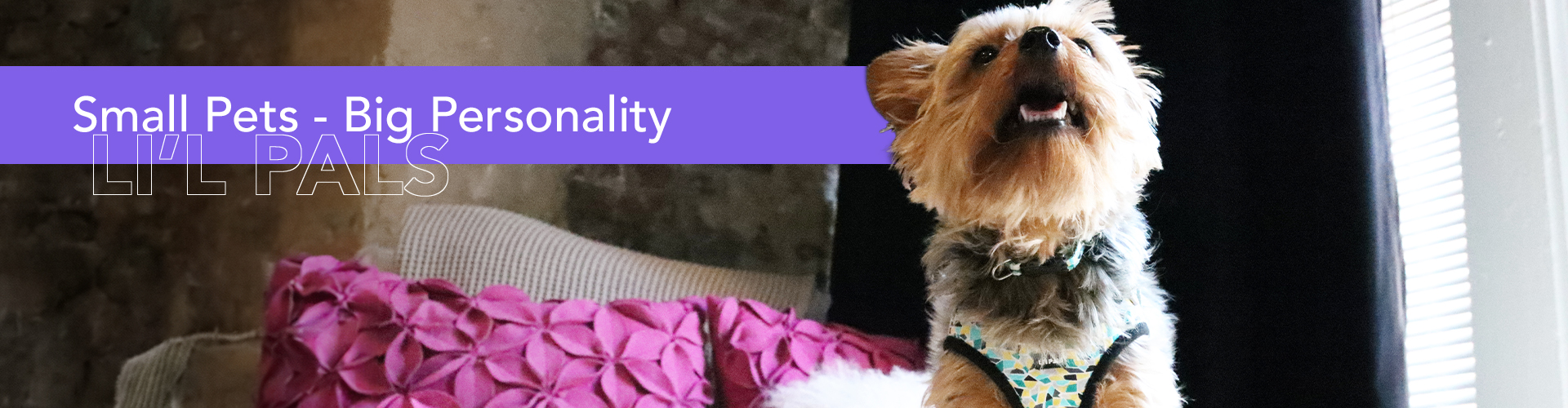 Coastal Pet Products | Coastal Pet Products